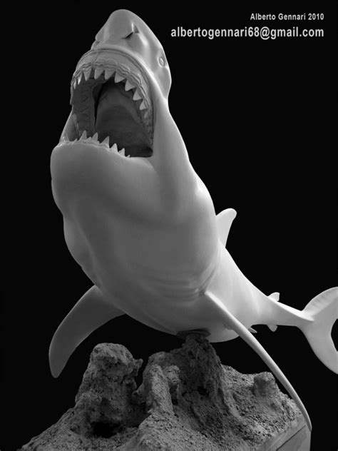 Megalodon Bite The Secret Behind It [revealed]
