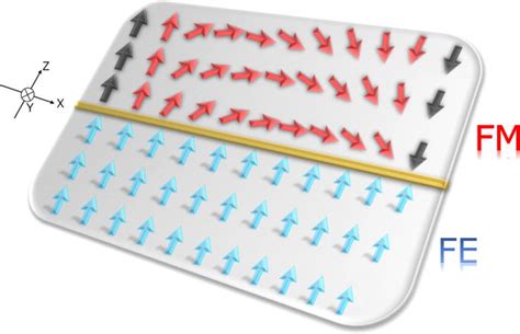 Dynamic Response In A Finite Size Composite Multiferroic Thin Film