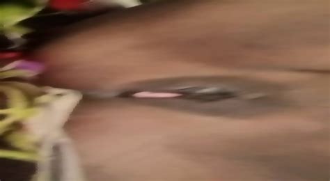 Dehati Adivasi Tribal Indian Wife Show Nude Shaved Pussy Eporner