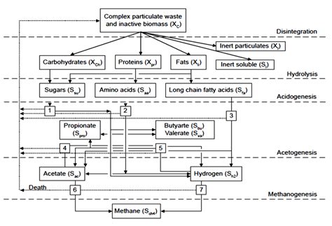 Neat Diagram Of Reaction Phase Download Scientific Diagram