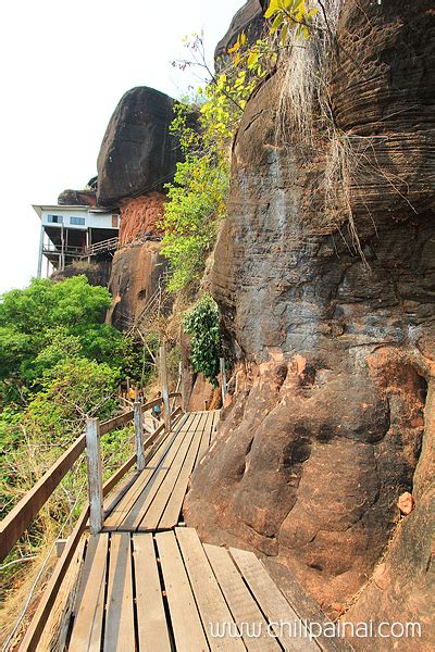 ภูทอก บึงกาฬ Phu Tok