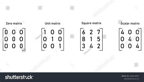 Different Types Matrices Mathematics Zero Unit Stock Vector Royalty
