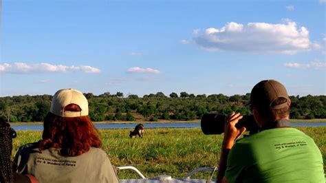 The Joy And Wonders Of Nature African Bush Lovers
