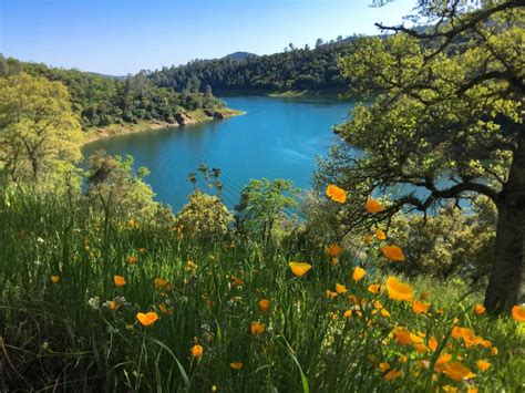 Calaveras Lakes Round Up Where To Play In The Water This Summer