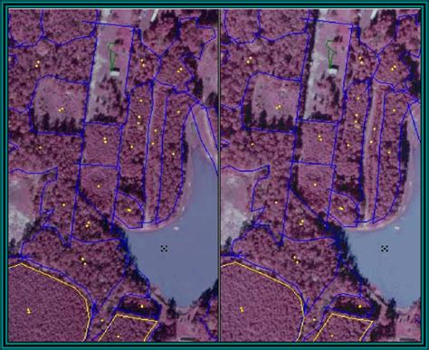 Example Of On Screen Overlapping Vectorization Of Forest Polygons Download Scientific Diagram