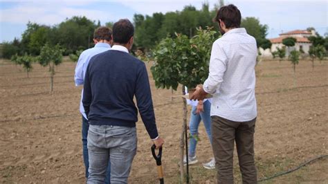 Scouting Tools Continue To Deliver Increased Agronomic Insights Croplife