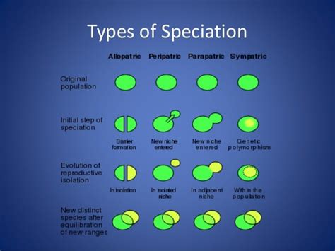 Speciation