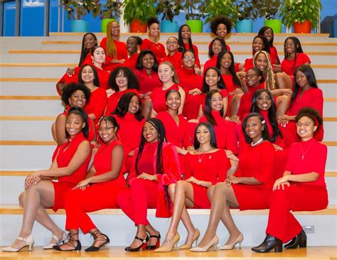 Delta Sigma Theta Sisters Support Sister And Officer Farrah Turner