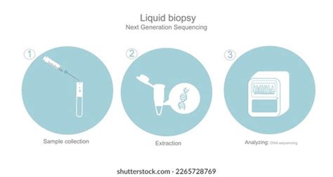 Next Generation Sequencing Workflow Images Stock Photos Vectors Shutterstock