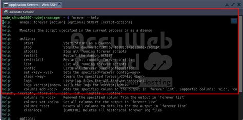 Nodejs Process Manager Npm Pm2 Forever