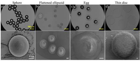 Four Morphologies Of Wax Microparticles Observed By Optical Microscopy Download Scientific