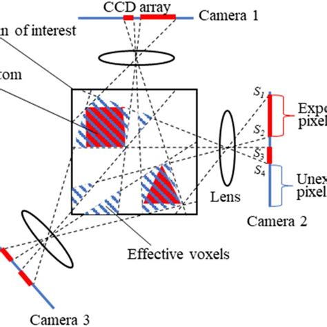 Schematic Of Effective Voxel Determination Download Scientific Diagram