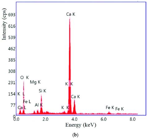 Scanning Electron Microscopy Image A Associated With Edx Analysis B Download Scientific