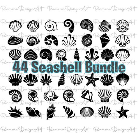 Seashell Svg Seashells Svg Seashell Svg File Ocean Svg Inspire Uplift
