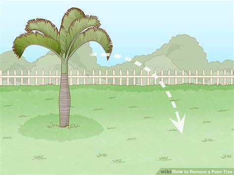 Ways To Remove A Palm Tree WikiHow