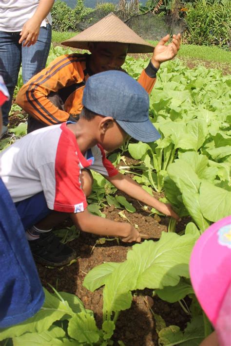 Outing Nursery Dan K 21 Tk Kristen Kalam Kudus Jayapura Ke Area