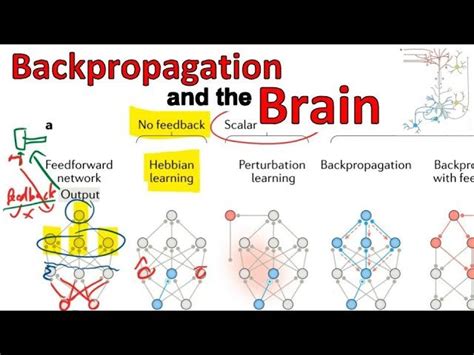 Free Video Backpropagation And The Brain From Yannic Kilcher Class