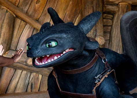 Universal Orlando Shares First Look At Toothless And Hiccup Meet And Greet