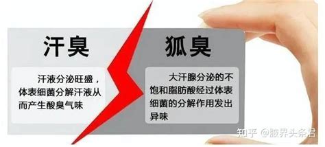 今日热议重庆黄泥磅医院介绍腋臭的症状 知乎