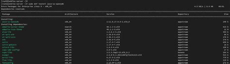 How To Install Jenkins On Rocky Linux 9