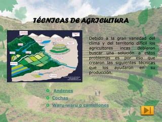 Desarrollo De La Agricultura En La Cultura Inca Pdf