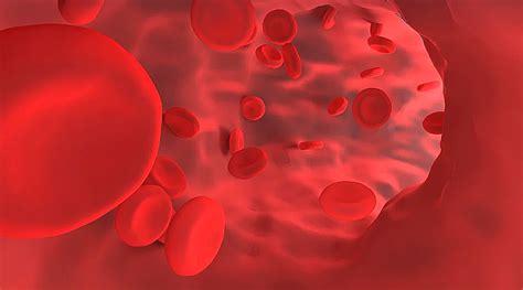 용혈 검사 결과에 영향을 주는 채혈 주의사항 알아보기 네이버 블로그