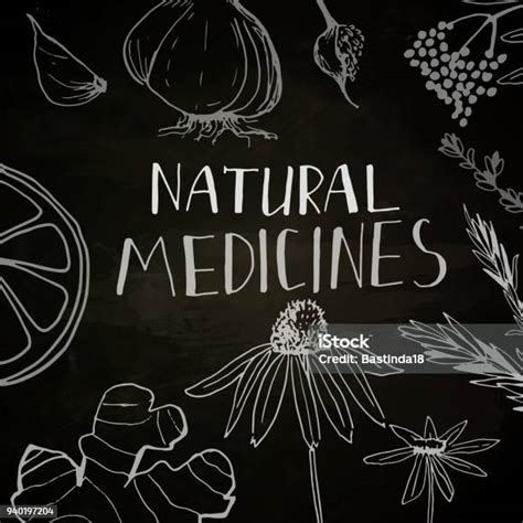 허브와 약용 식물 컬렉션 벡터 손으로 화이트에 고립 된 개체를 그린 0명에 대한 스톡 벡터 아트 및 기타 이미지 0명 대체