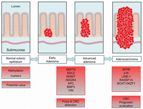 Dna Methylation Levels Of Markers Ghsr A Sst B And Zi Vrogue Co
