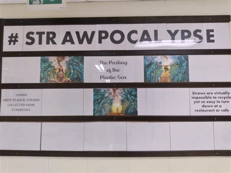 Plastic Reduction Project Our Canada Project