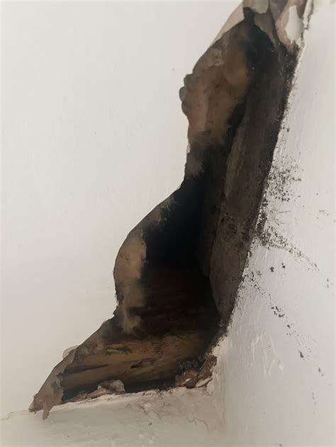 Was Told This Was A Condensation Issue However Think After Giving It A Prod This Is Not The