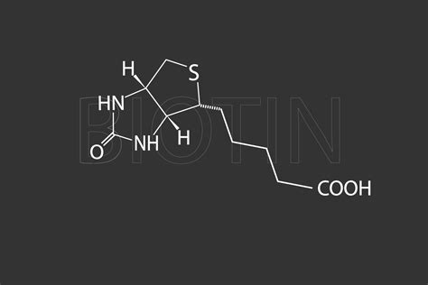 Biotin Molecular Skeletal Chemical Formula 36388712 Vector Art At Vecteezy