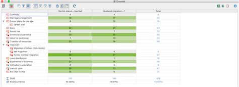 participant observation data analysis with maxqda