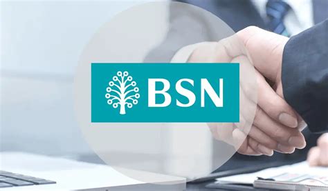 Bsn Pinjaman Peribadi Swasta Syarat And Cara Mohon