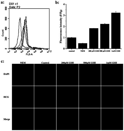 Near Infrared Fluorescent Probe Used For Identifying Glutathione As Well As Preparation And