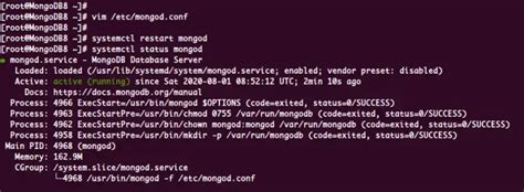 How To Install And Configure Mongodb On Centos 8 Zivo Nix Blog