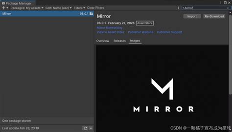 Unity插件 Mirror使用方法一Mirror介绍 unity mirror CSDN博客