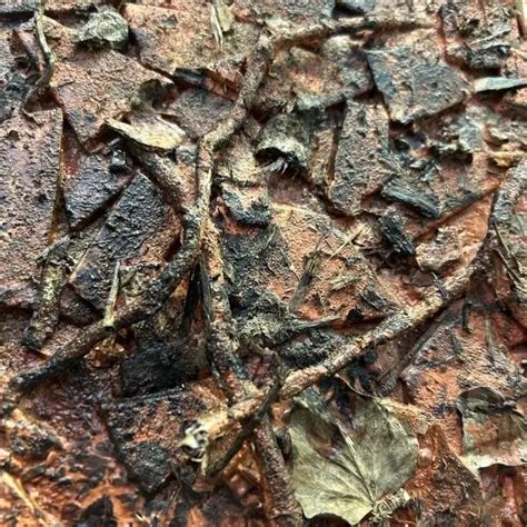 Raffaella Polverini Tessiture Arte Go Mostre Eventi Corsi E Concorsi