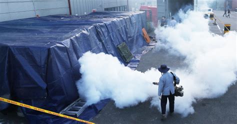 안산 붉은불개미 추가 발견 없어 여왕개미 수색 계속