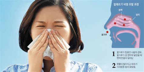 알레르기 비염 원인은 꽃가루 먼지뿐 아니라 당신의 건강가이드 헬스조선