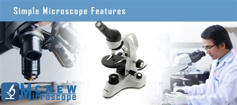 Difference Between Light Microscope And Simple Microscope Microscope Crew