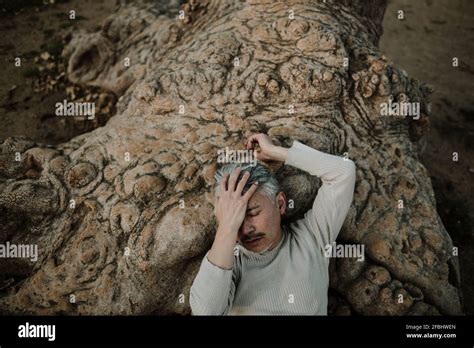 Mature Man Lying On Tree Roots In Garden Stock Photo Alamy