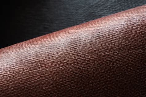 The Wreck Of The Metta Catharina And Russian Leather Revival