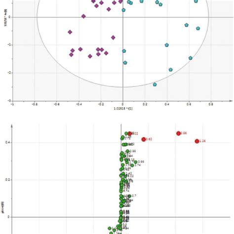 Scores Plot And S Plot Resulting From Opls Da Applied To The 1 H Hr Mas