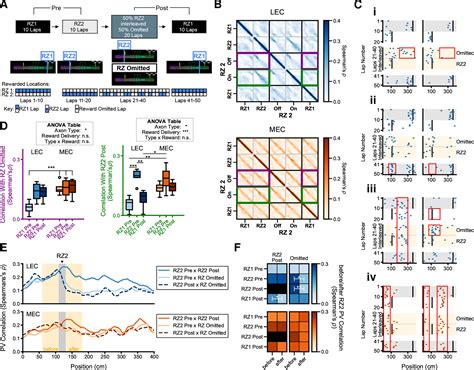 Direct Cortical Inputs To Hippocampal Area Ca1 Transmit Complementary