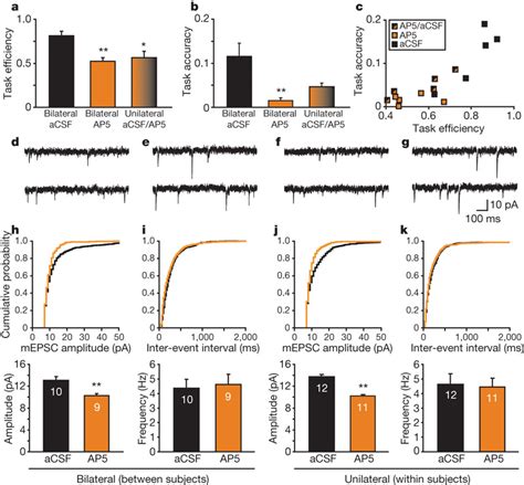 Local Nmdar Blockade Attenuates Reward Related Learning And The Download Scientific Diagram