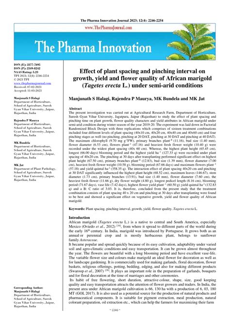 Pdf Effect Of Plant Spacing And Pinching Interval On Growth Yield And Flower Quality Of