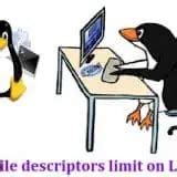 Command Line Arguments In Linux Shell Scripting