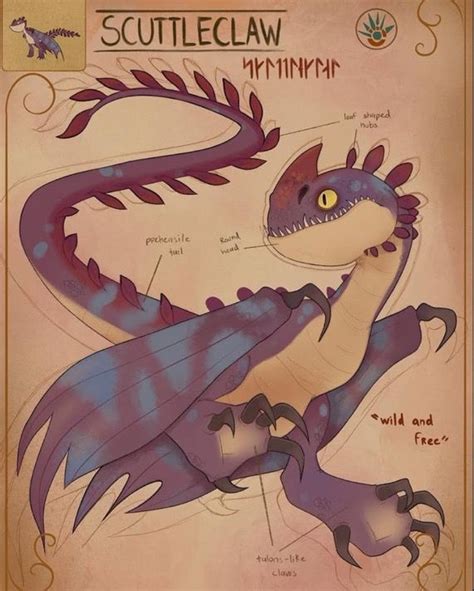 Scoltleclaw How To Train Your Dragon How To Train Your Dragon Scuttle