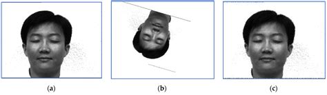 Cluster Based Memetic Approach Of Image Alignment