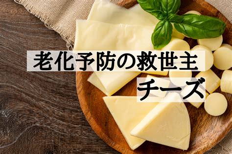 チーズで老化予防？驚きの健康効果！チーズのチカラ 食べレア北海道｜北海道の食材お取り寄せ通販サイト